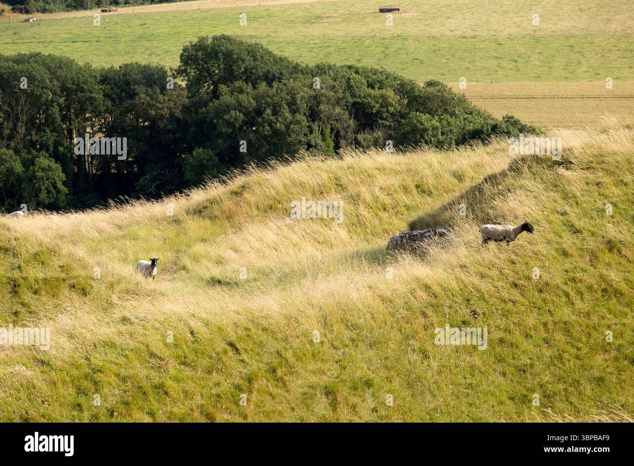 Maiden Castle in Dorset is one of the largest and most complex Iron Age ...