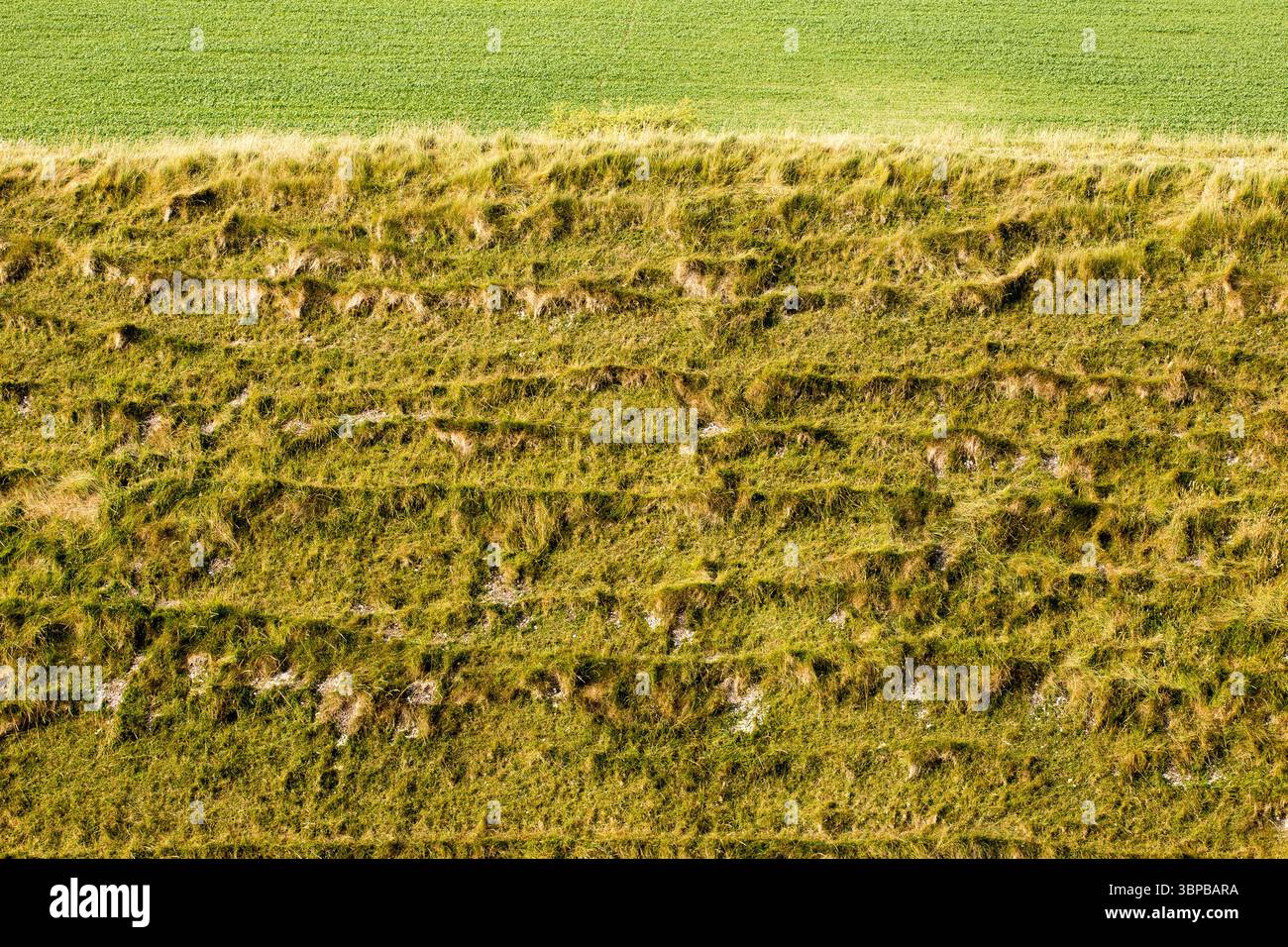 Maiden Castle in Dorset is one of the largest and most complex Iron Age ...