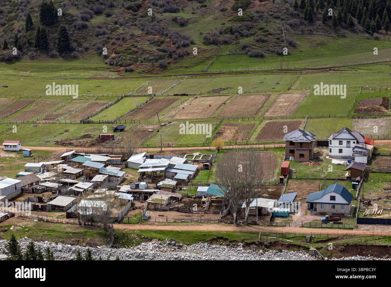 Rural village landscape. Private houses and agricultural fields ...