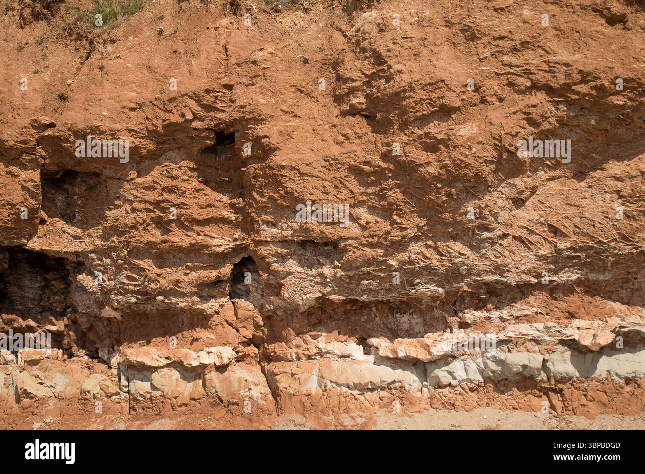 Jurassic coastal rock faces Branscombe Beach East Devon Stock Photo - Alamy