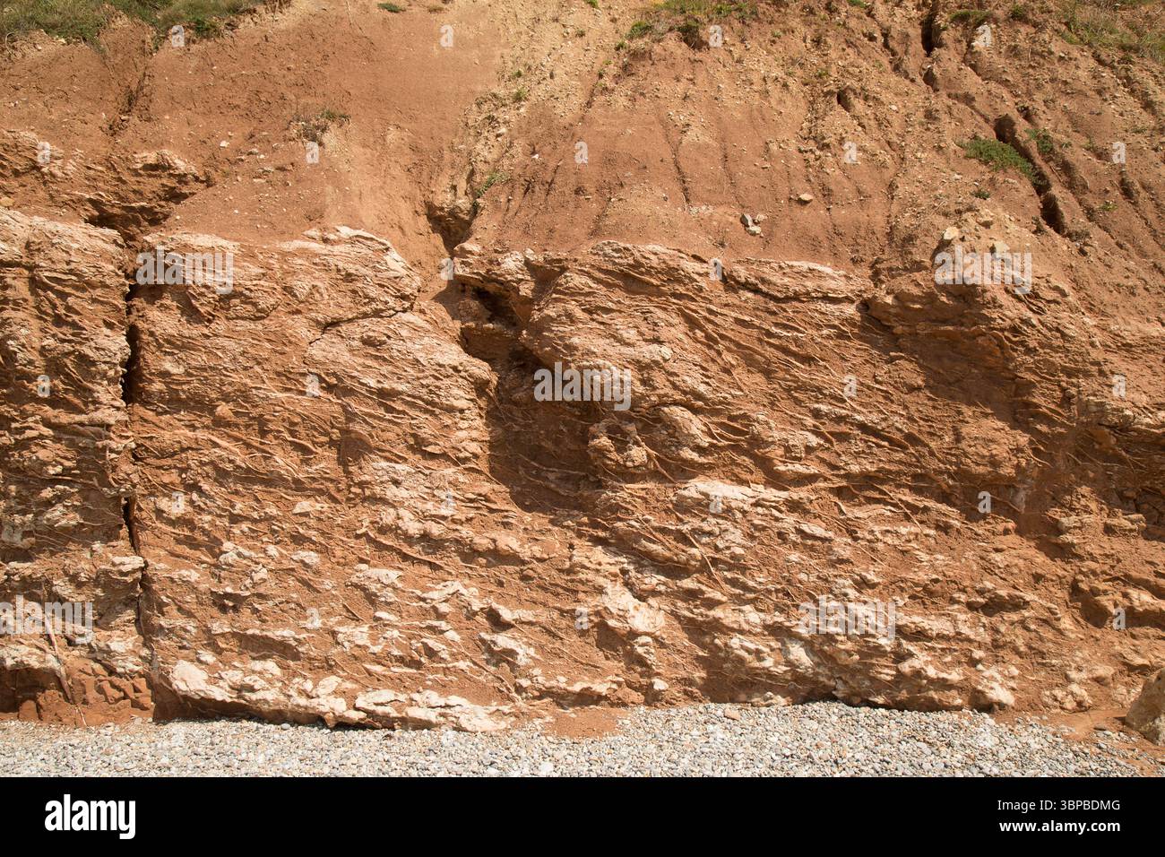 Jurassic coastal rock faces Branscombe Beach East Devon Stock Photo - Alamy