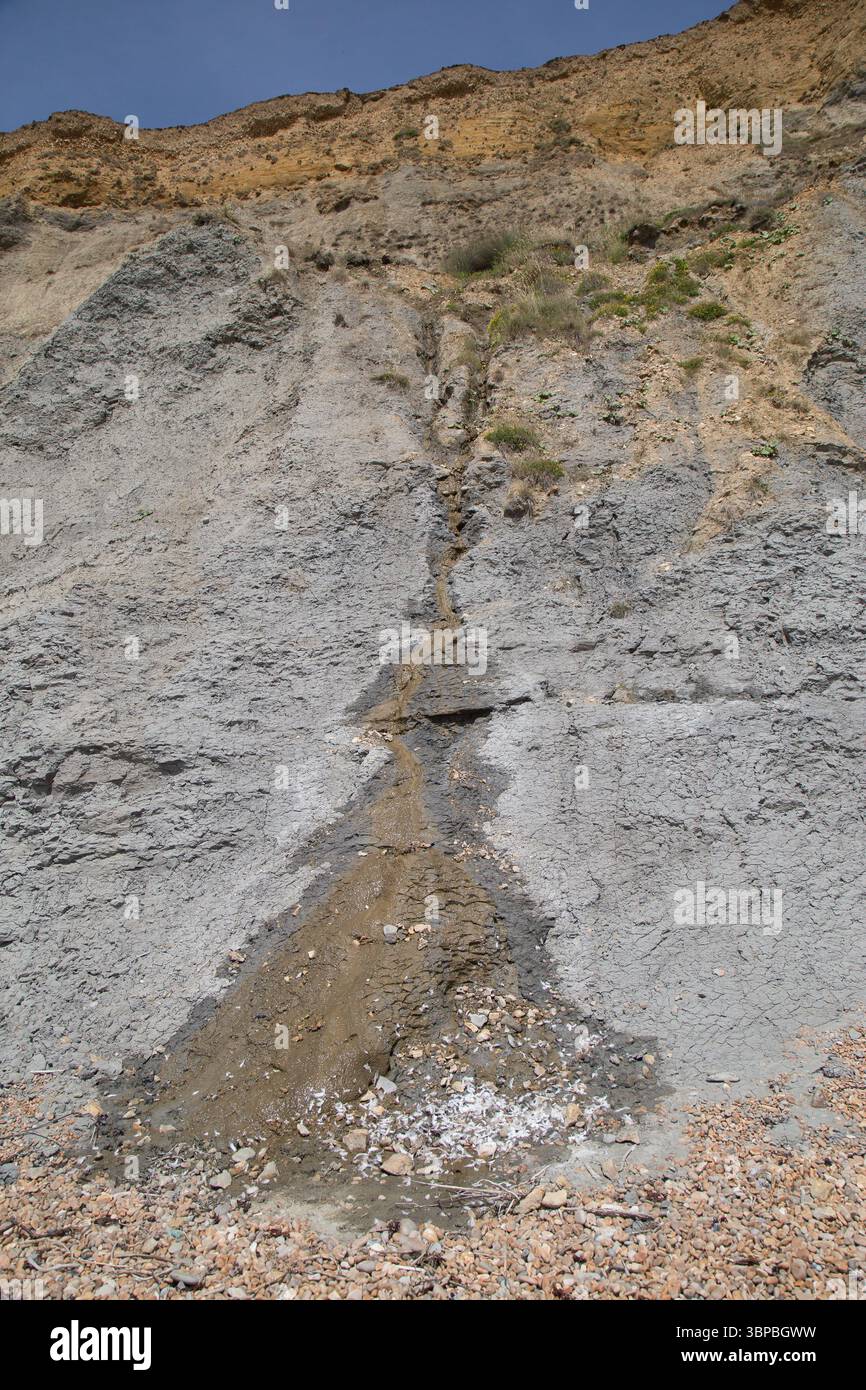 Seatown beach popular with fossil collectors, with rock of Late ...