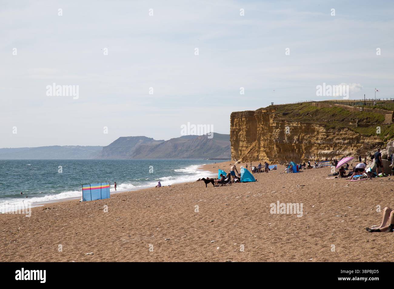 Hive Beach, key gateway to the Jurassic CoastJurassic Coast fossil ...