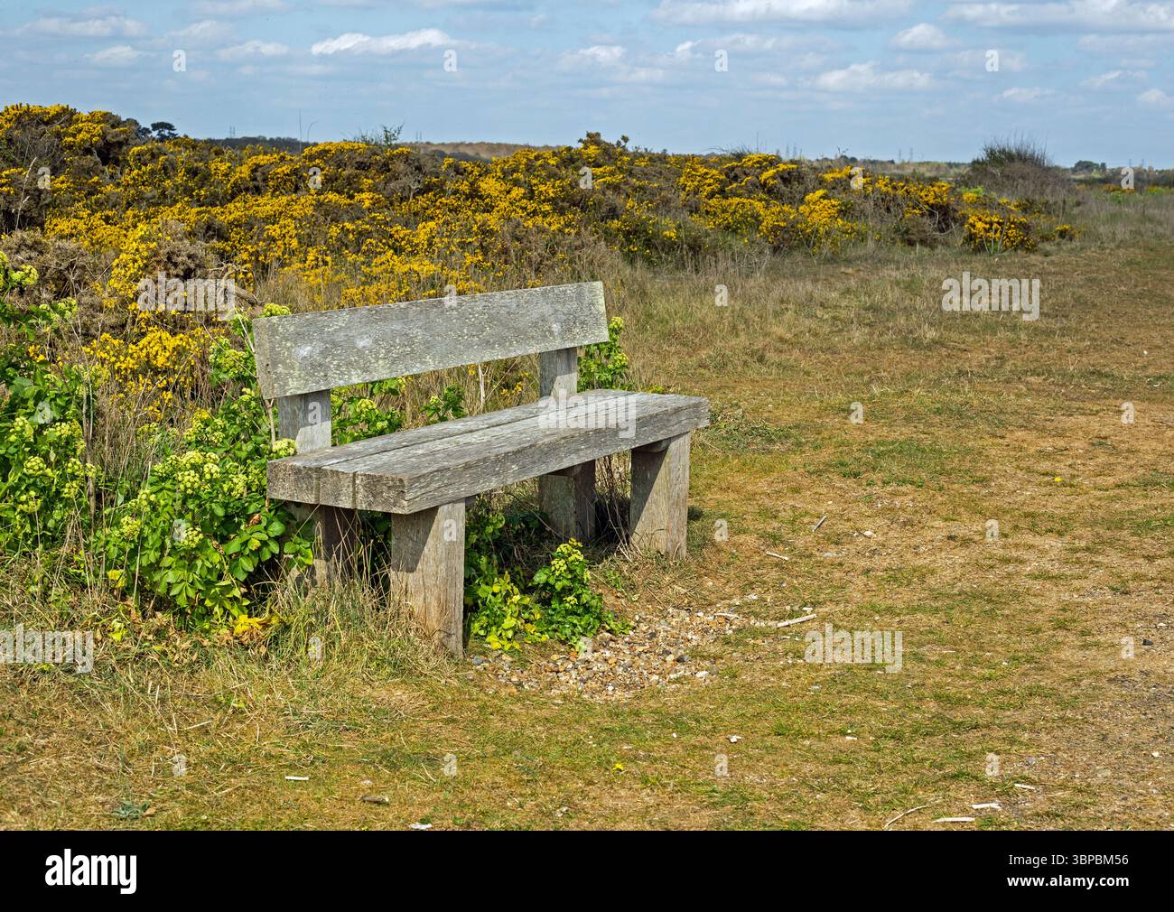 Aldeburgh, Suffolk, England, April 13th 2025, a coastal landscape ...
