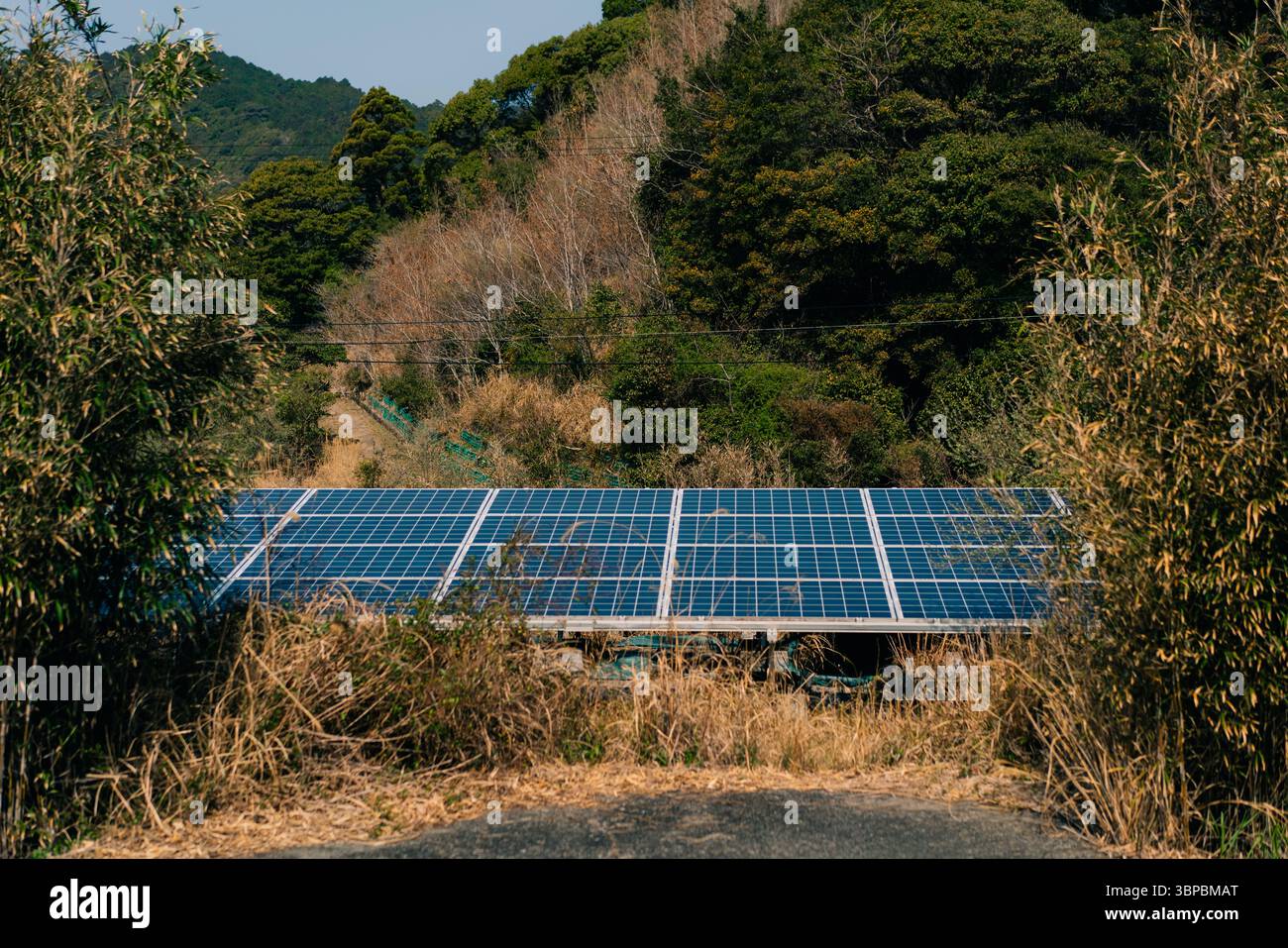 solar panels on farm fields in Japan. High quality photo Stock Photo ...