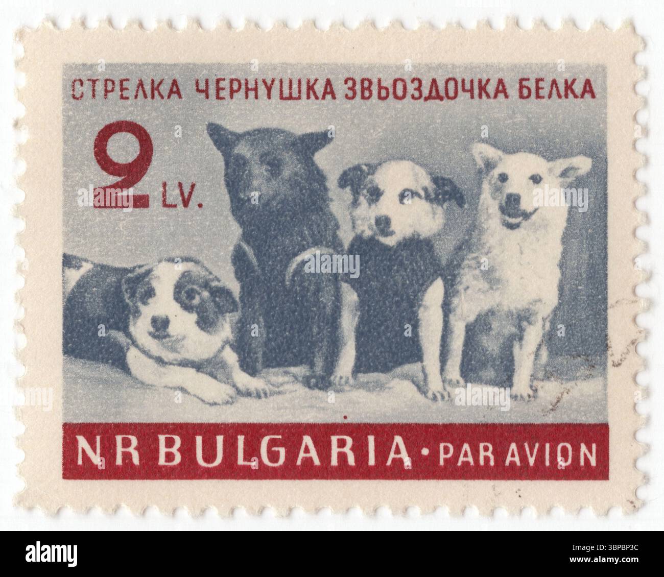 Soviet space dog laika Cut Out Stock Images & Pictures - Alamy