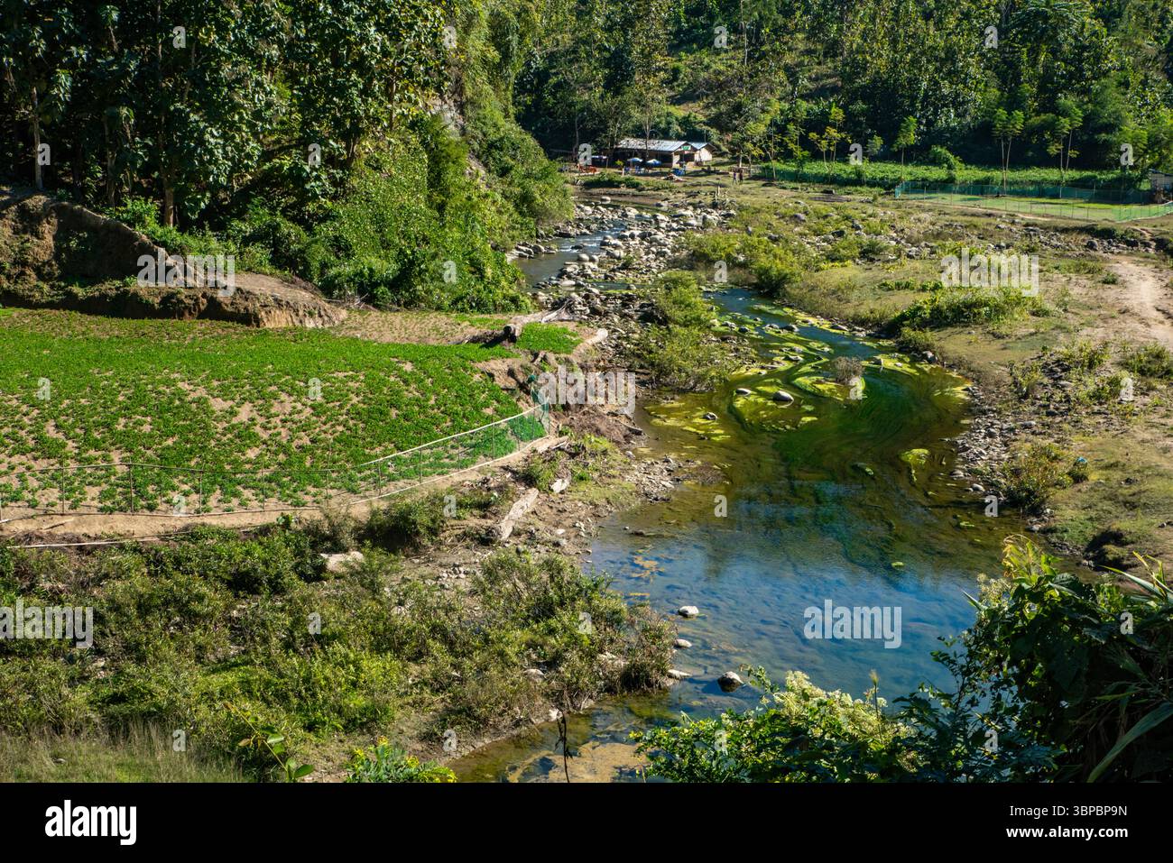 A serene river flowing through a lush landscape with trees and greenery ...