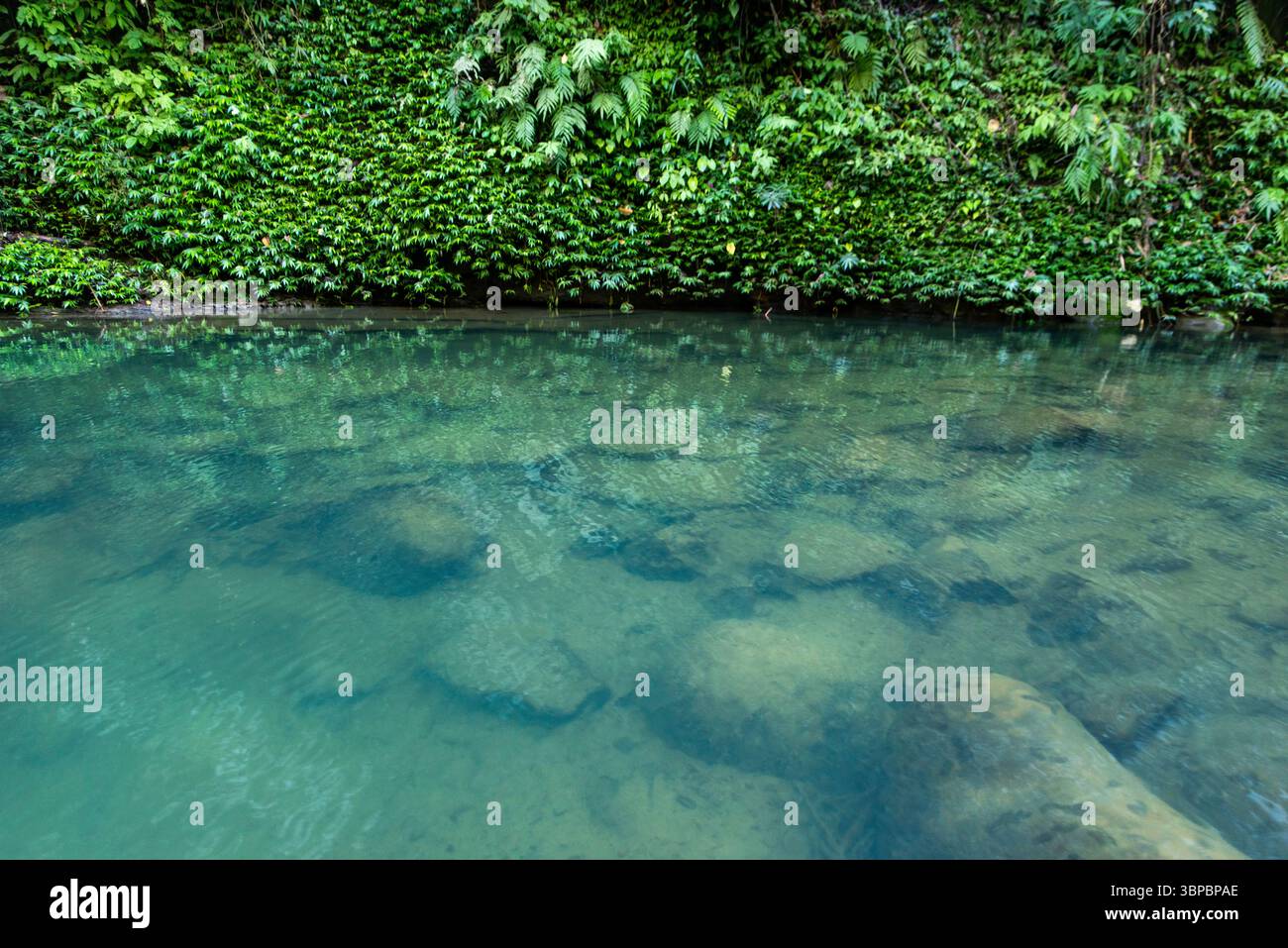 Crystal clear river flowing through lush green vegetation. Debotakhum ...