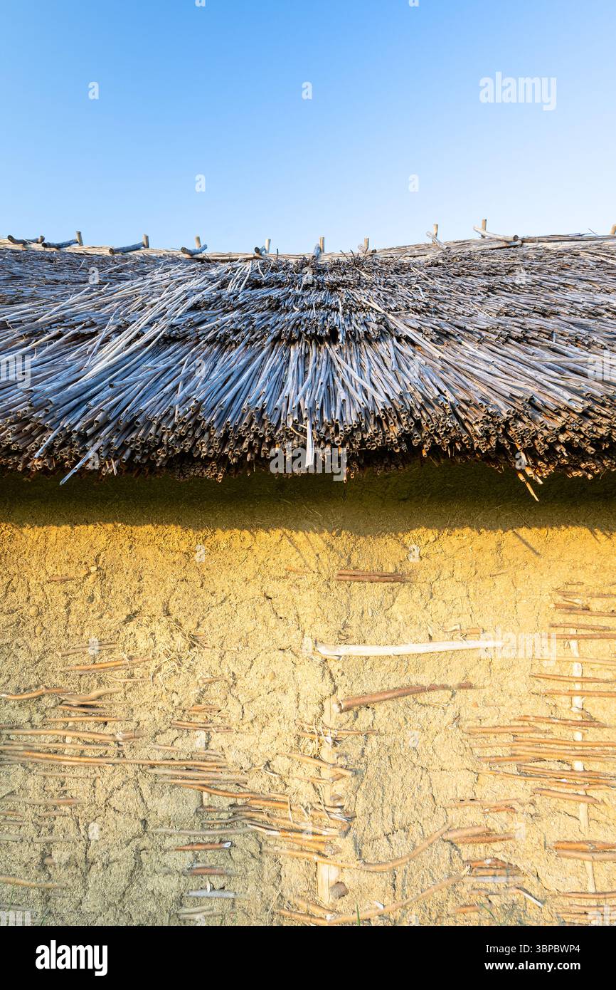 Mud plaster hi-res stock photography and images - Alamy