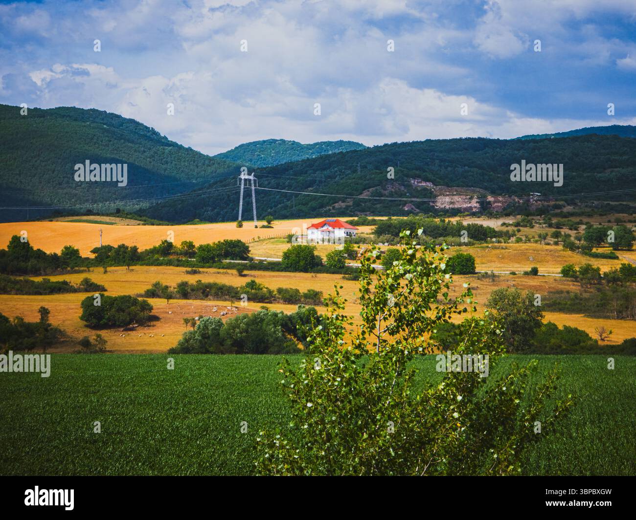 Colorful landscape with hills, farmland and power lines in Romania ...