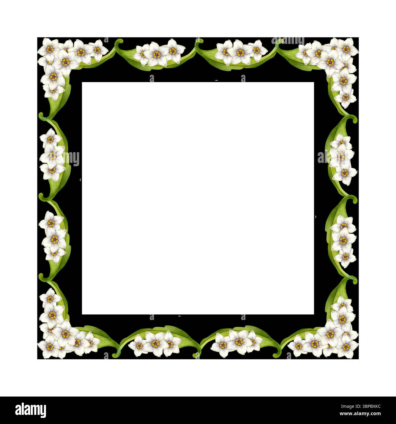 Border green leaves in Cut Out Stock Images & Pictures - Alamy