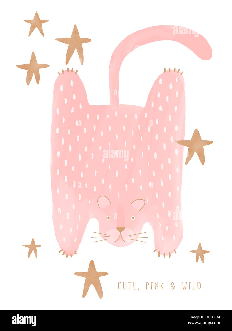 Funny Pink Tiger Relaxing While Lying On Its Belly.Cute,Pink And Wild ...