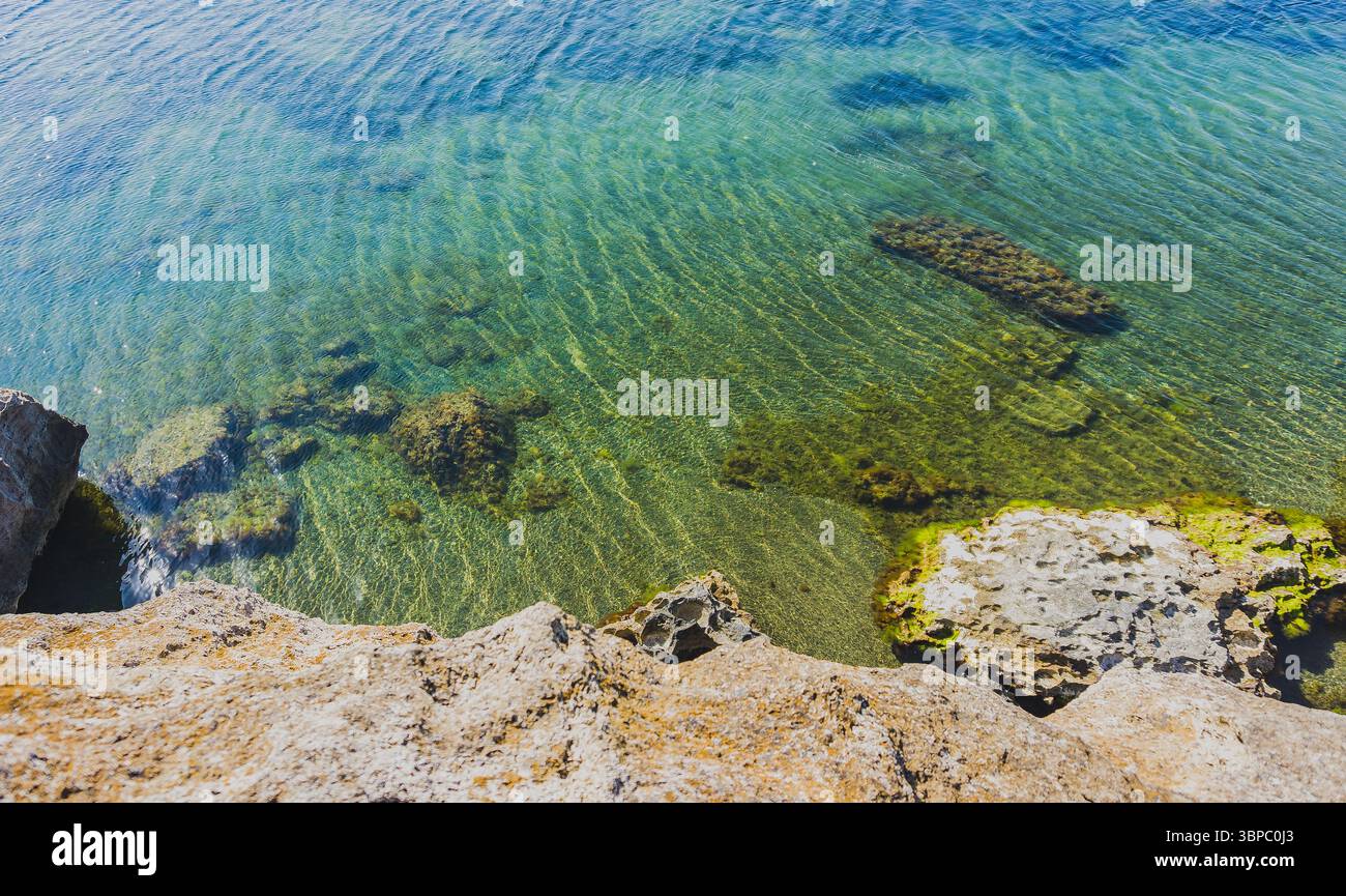 Coral reef in the crystal clean water sea Stock Photo - Alamy