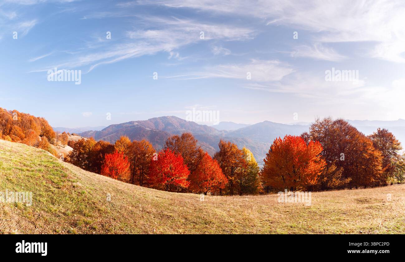 Panoramic view rolling forested hi-res stock photography and images - Alamy