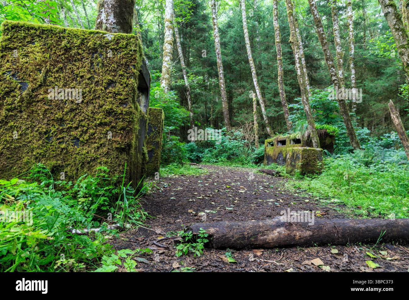 Ecola State Park, Oregon, USA - August 20th 2017: An abandoned military ...