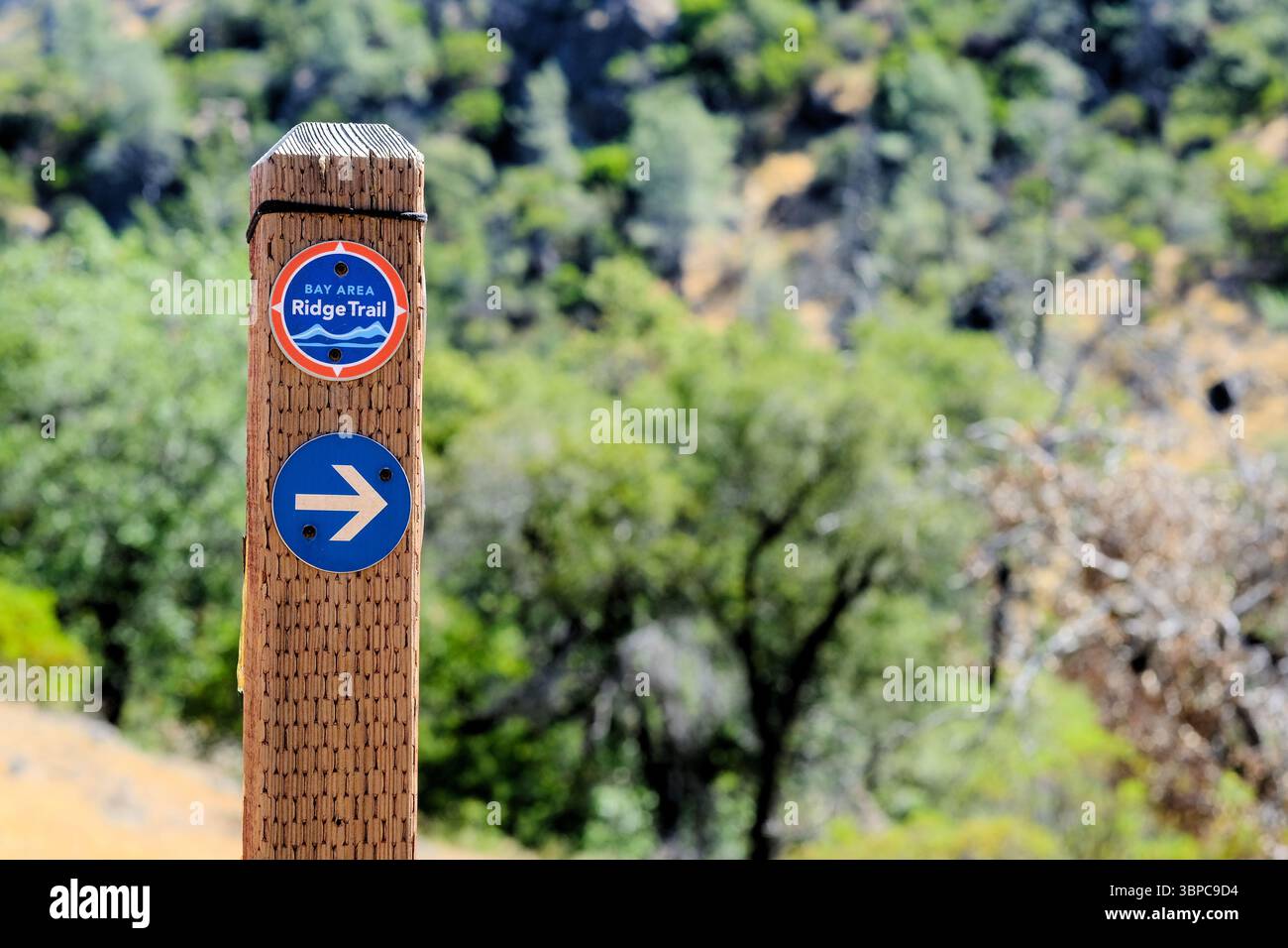 Directional sign on the Bay Area Ridge Trail; over 400 miles of hiking ...