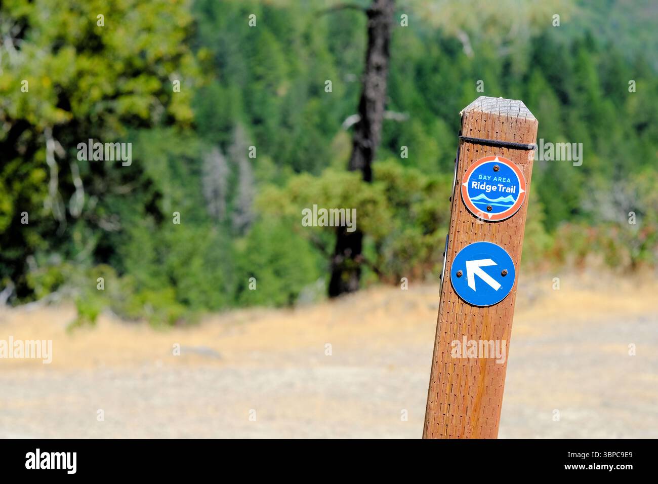 Directional sign on the Bay Area Ridge Trail; over 400 miles of hiking ...