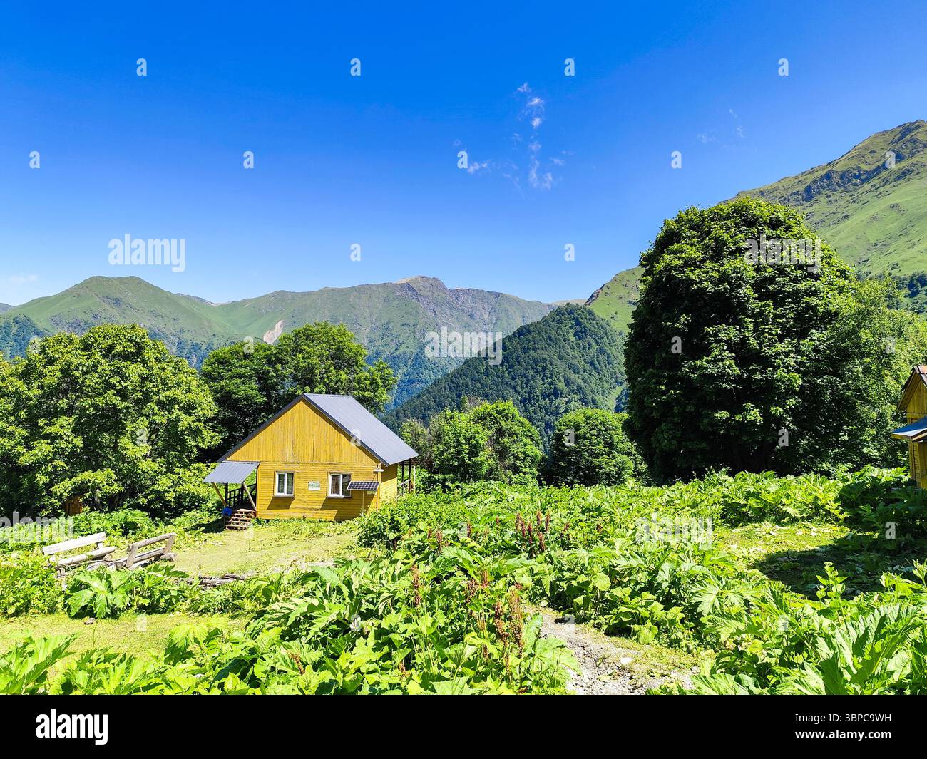 Lagodekhi National Park landscape with mountains and forests in Georgia ...