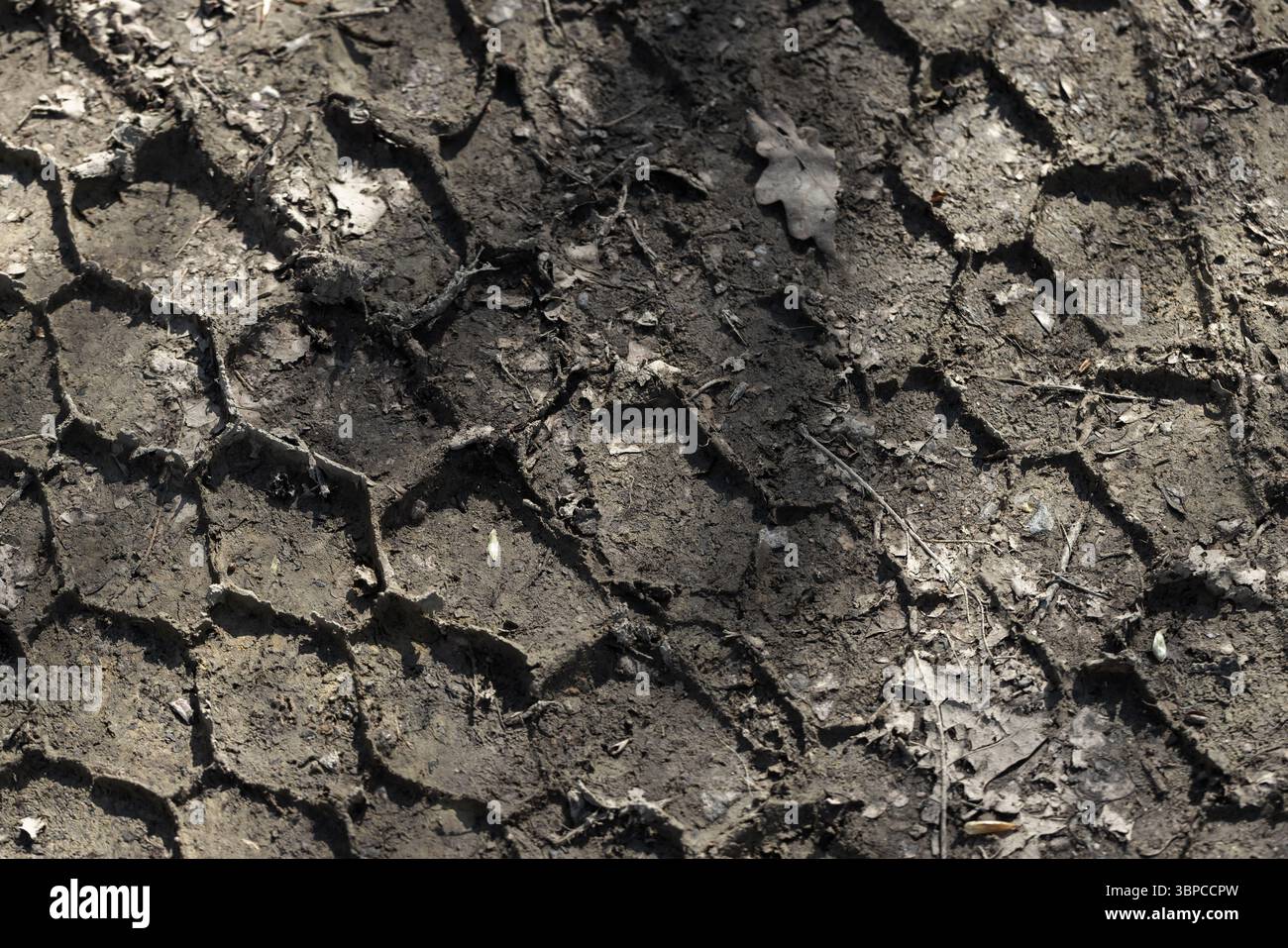 Featuring tracks hi-res stock photography and images - Alamy