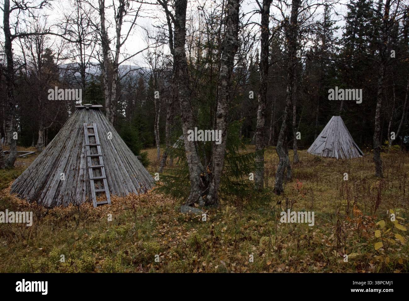 Fatmomakke was a medieval meeting point first for Sami people only and ...