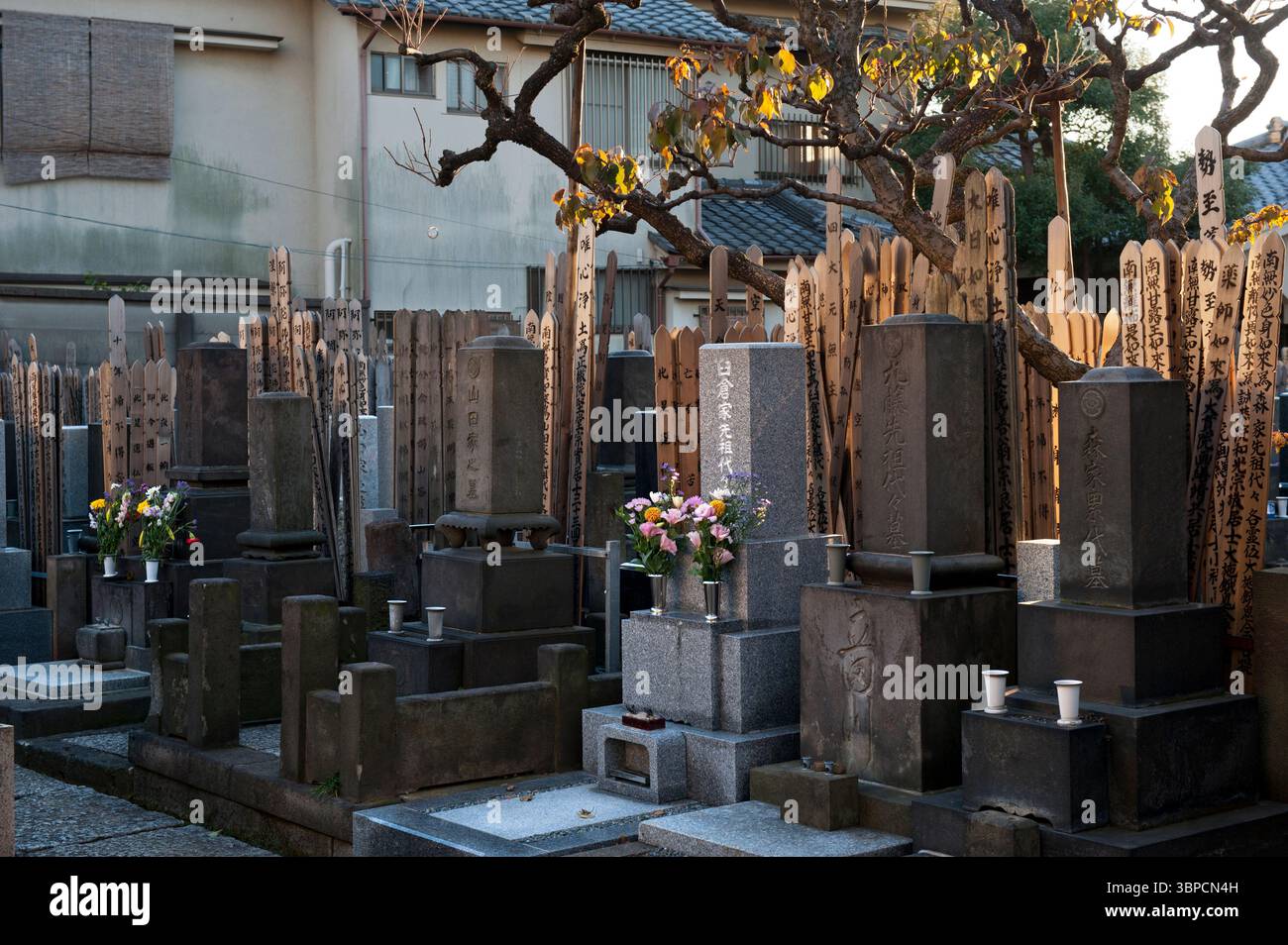 Gravestones pack the tiny, crowded Choanji Temple Buddhist cemetery in ...