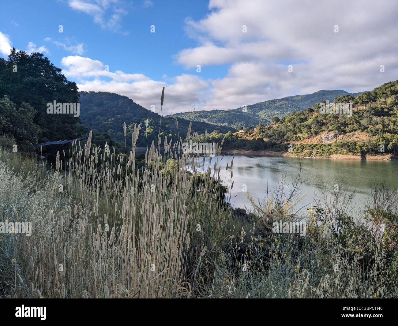 Almaden reservoir hi-res stock photography and images - Alamy