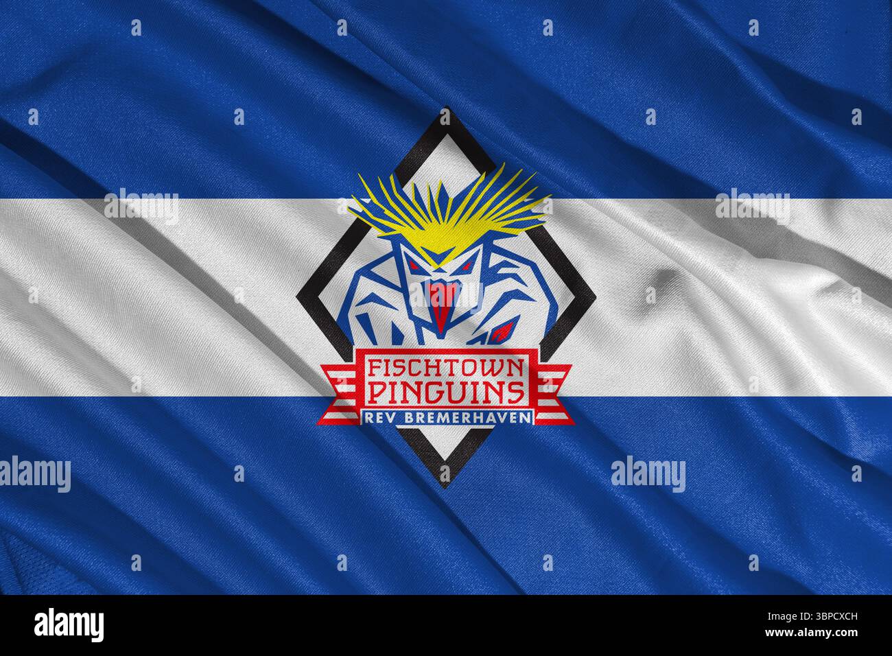 pringsewu, 09 july 2025; textured flag logo of the ice hockey team ...