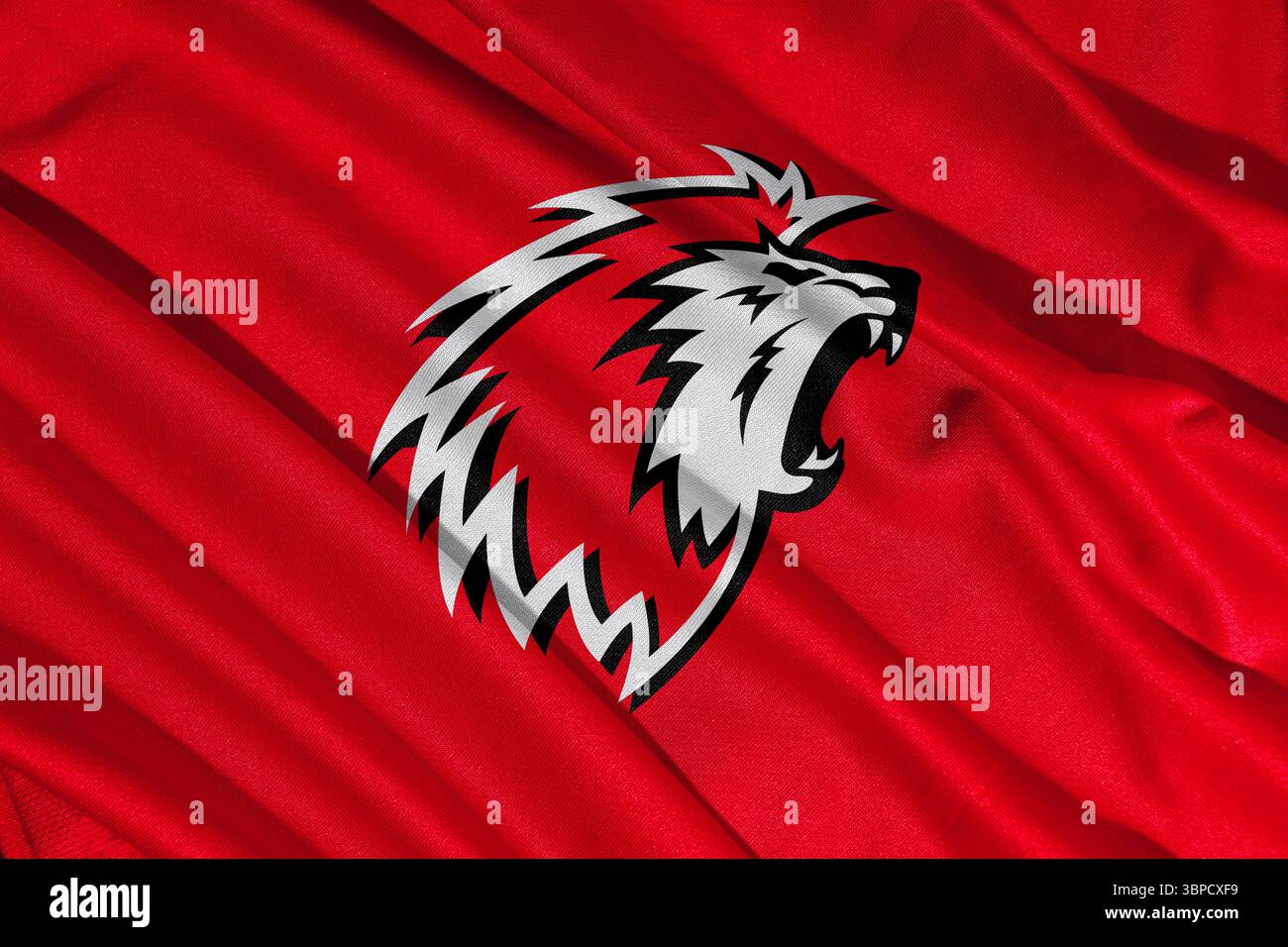 pringsewu, 09 july 2025; textured flag logo of the ice hockey team ...