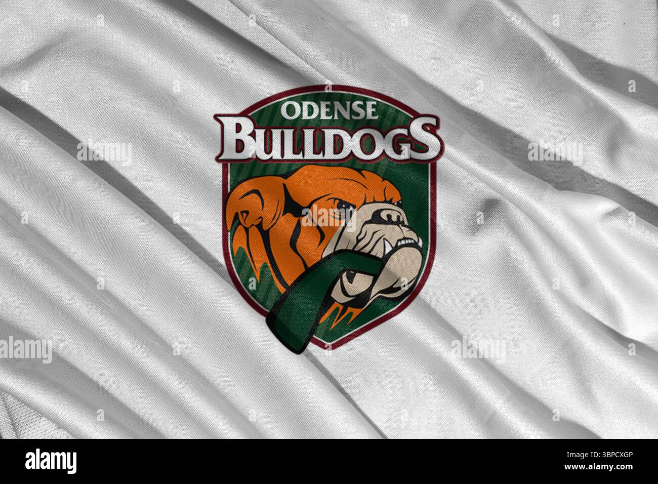 pringsewu, 09 july 2025; textured flag logo of the ice hockey team ...