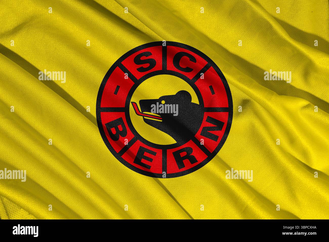 pringsewu, 09 july 2025; textured flag logo of the ice hockey team SC ...