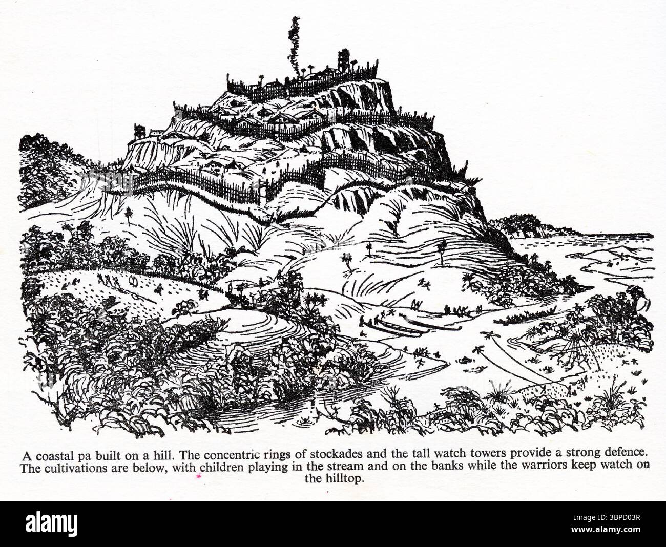 A coastal Maori pa built on a hill and prepared for the regular inter ...