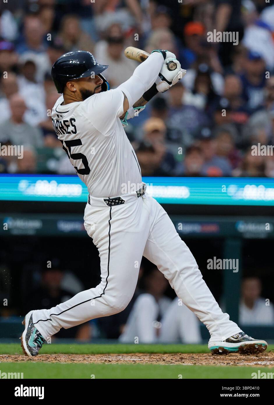 Detroit Tigers' Gleyber Torres bats against the Tampa Bay Rays during ...