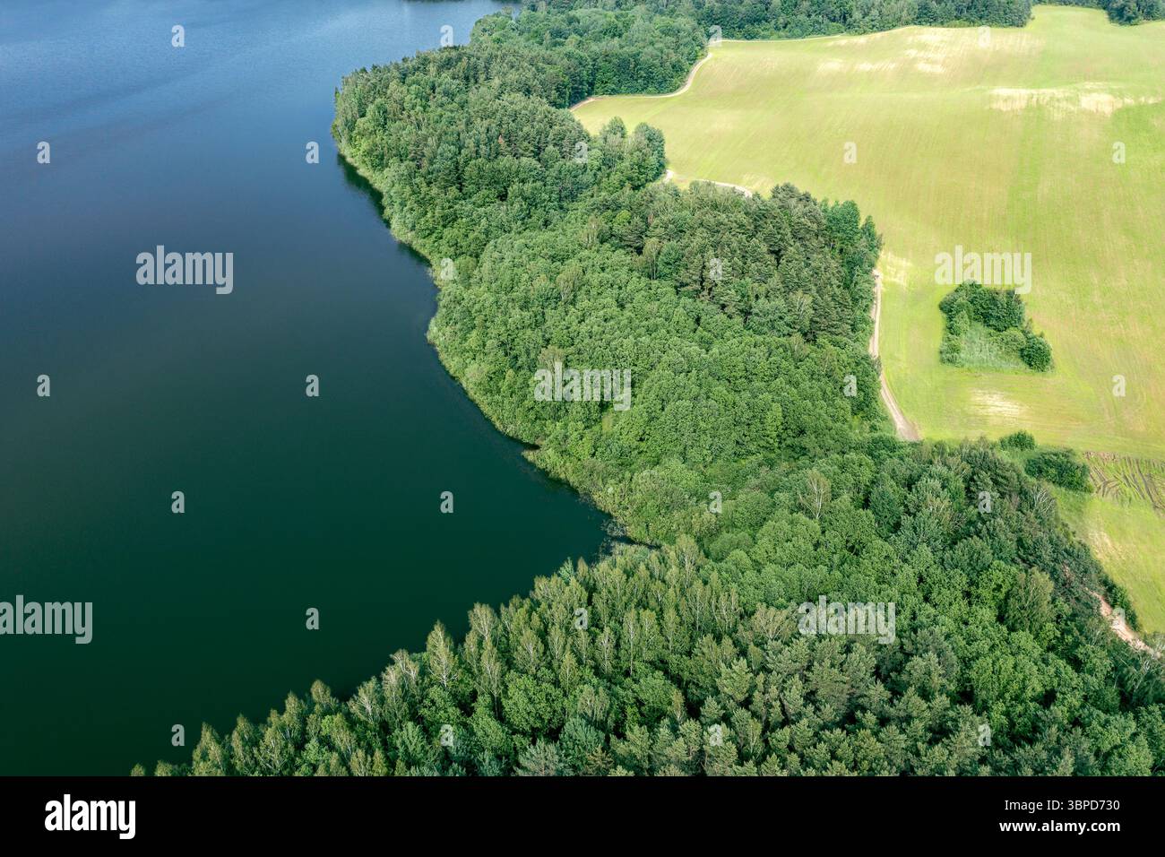 aerial view of lakeshore with green forest and agricultural field ...