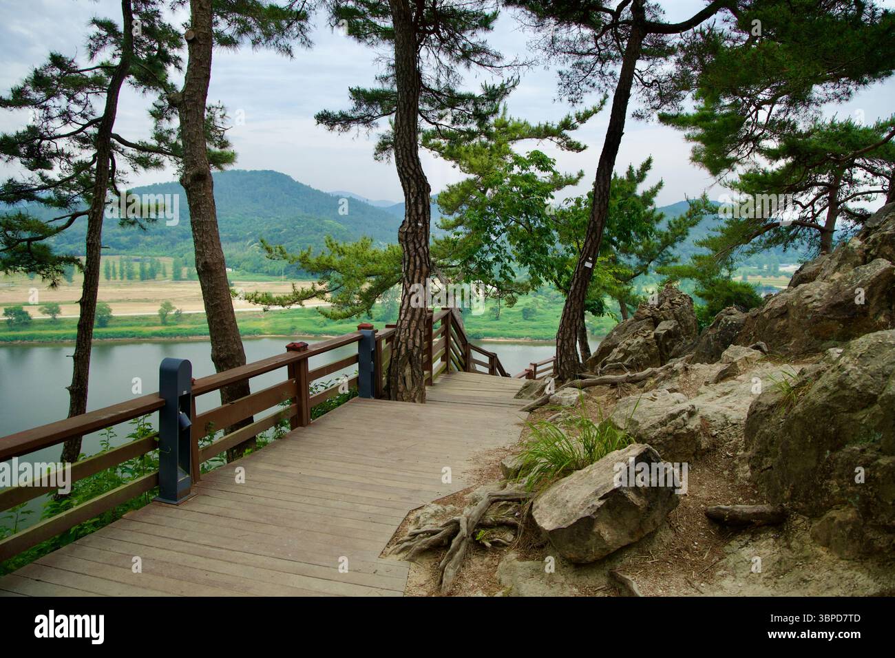 Buyeo County, South Korea - June 13th 2025: A wooden boardwalk curves ...