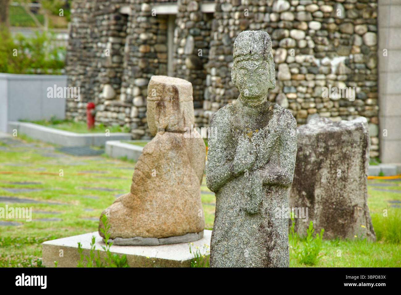 Buyeo County, South Korea - June 13th 2025: A closeup view of a ...