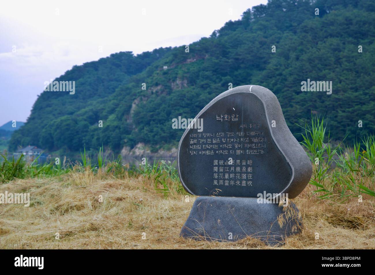 Quiet ask chatgpt hi-res stock photography and images - Alamy