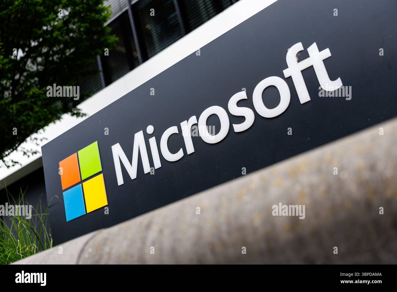 07 July 2025, Bavaria, Munich: The Microsoft logo and lettering can be ...