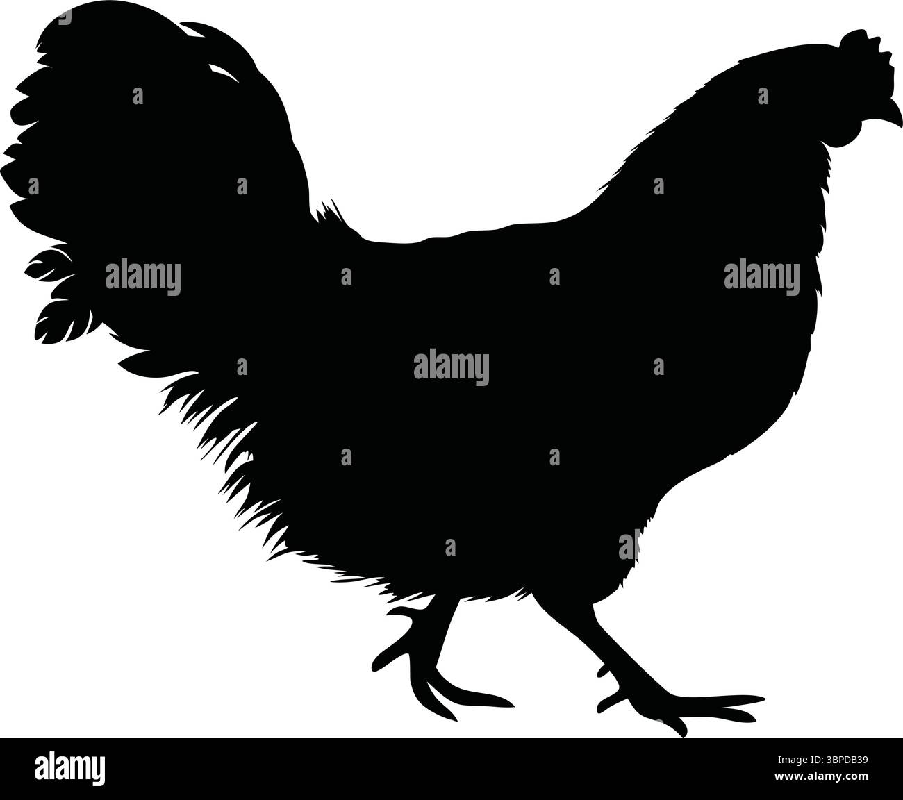 Chicken and Rooster Silhouette Vector, Black Hen Clipart, Isolated ...