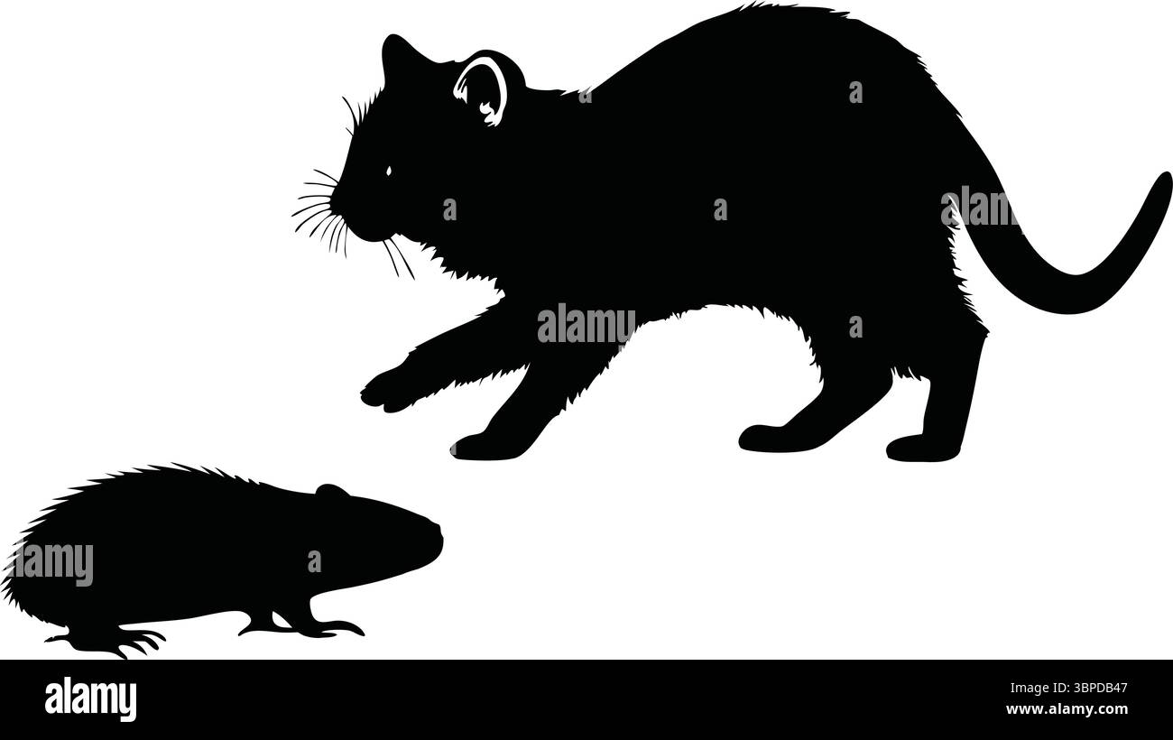 Cat and Mouse Silhouette Vector, Black Animal Clipart, Isolated Pet ...
