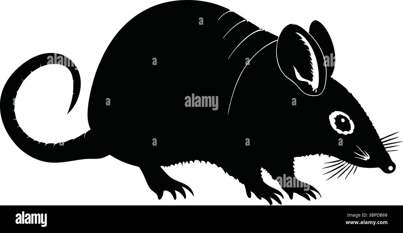 Mouse Silhouette Vector, Black Rat Clipart, Isolated Animal Art, Nature ...