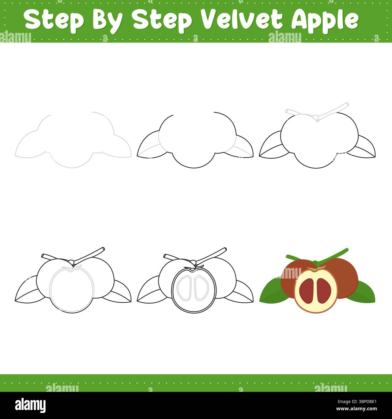 Step By Step Drawing Lime For Kids. Velvet Apple Food Drawing Tutorial ...