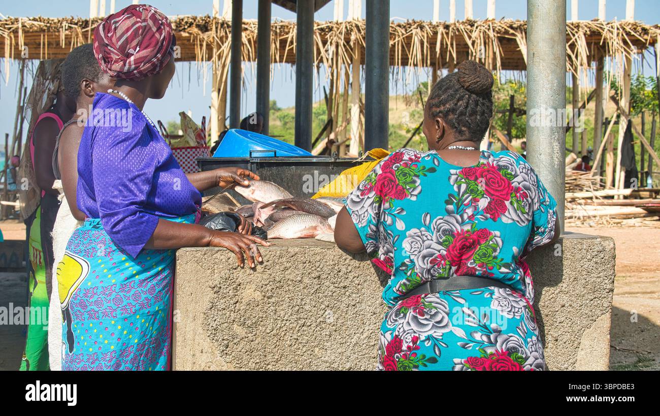 Local fish vendors handling catch at Kazinga Channel stall Stock Photo ...