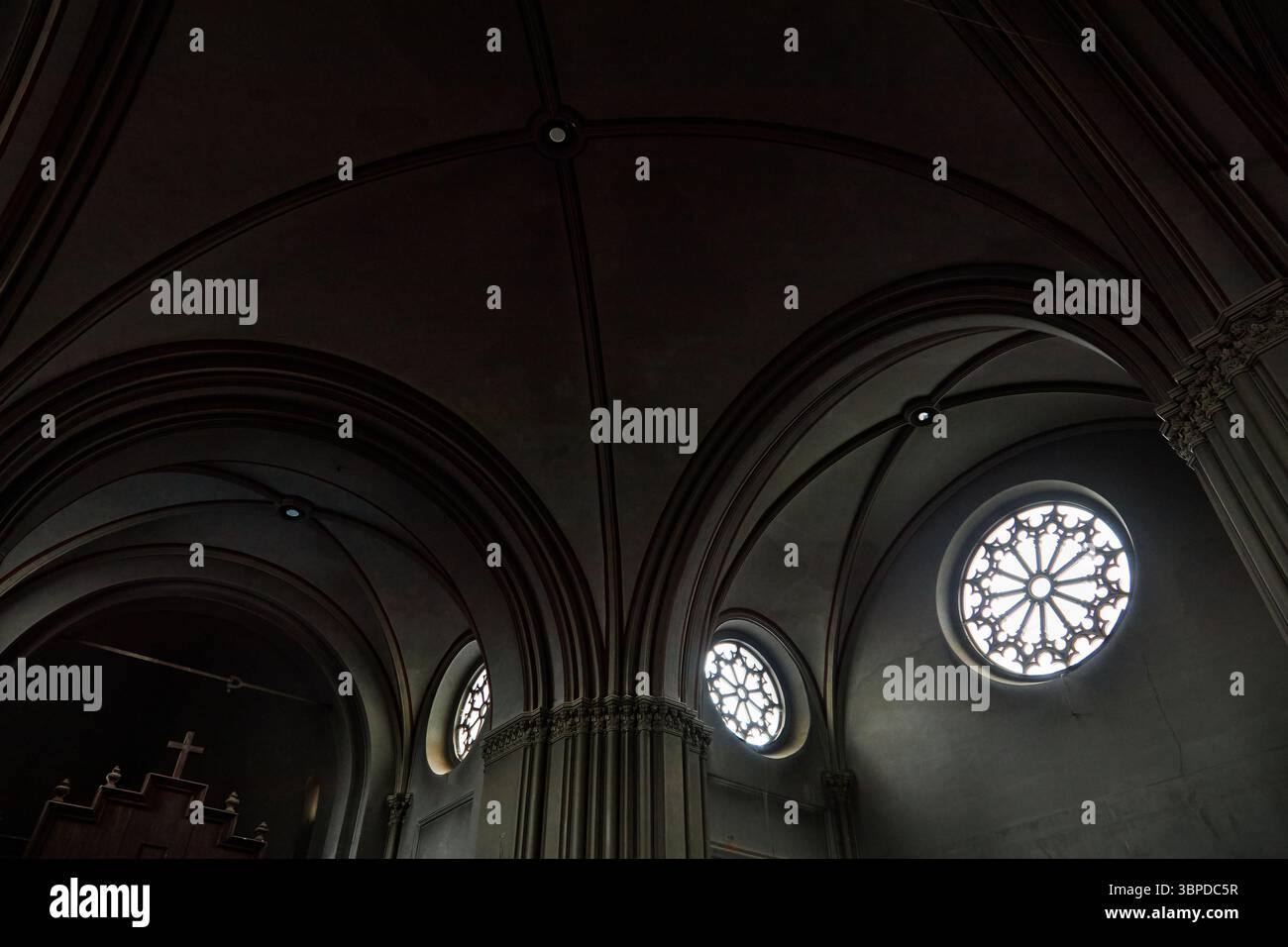 Vaulted Ceiling and Large Circular Windows with Intricate Patterns in ...
