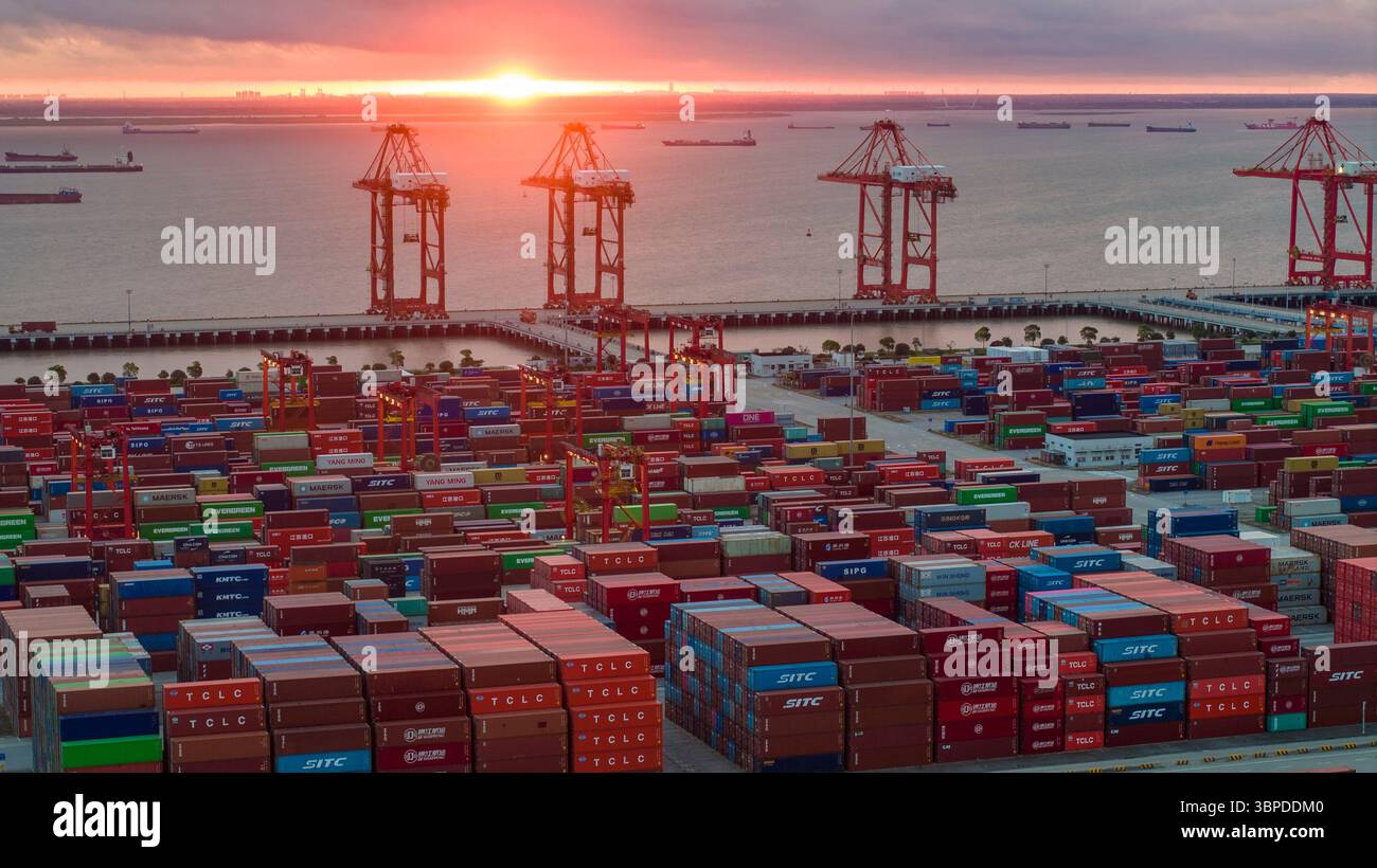 Cargo ships are loading and unloading containers at the container ...