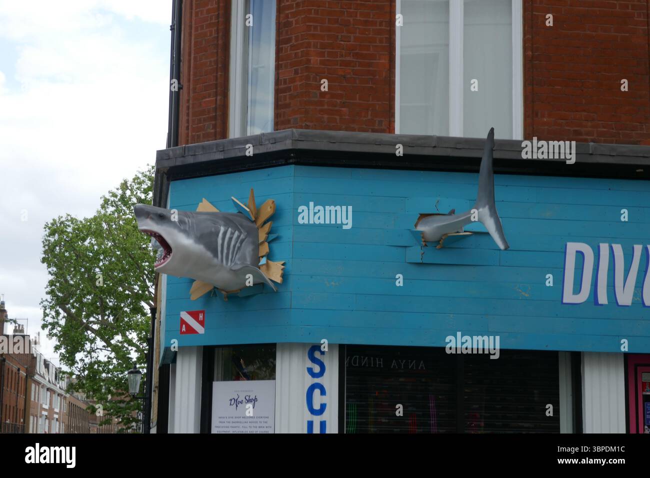 London, England, United Kingdom 25th May 2025 Shark at Dive Shop on May ...