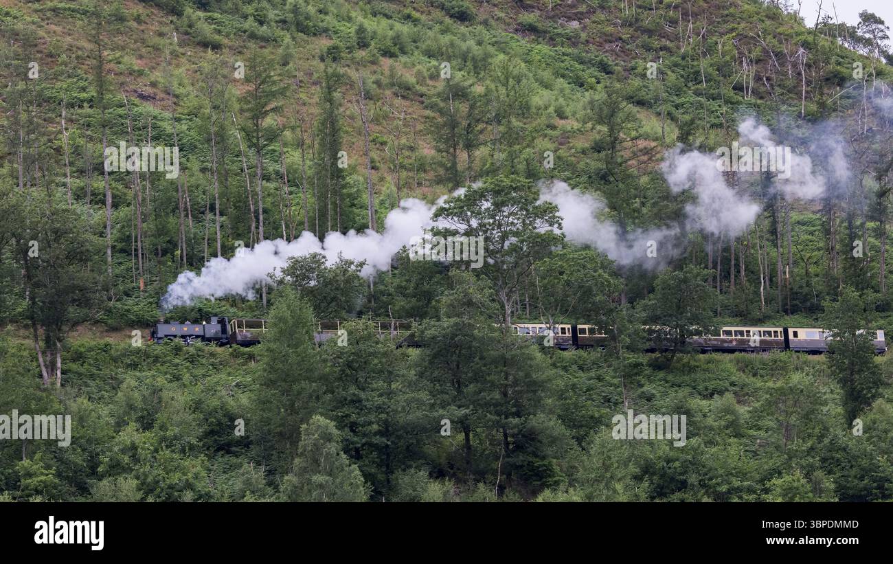 Vale of Rheidol Railway going from Aberystwyth to Devils Bridge, Wales ...
