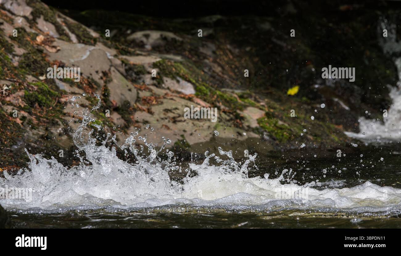 Water splashing over rocks in a small river Stock Photo - Alamy