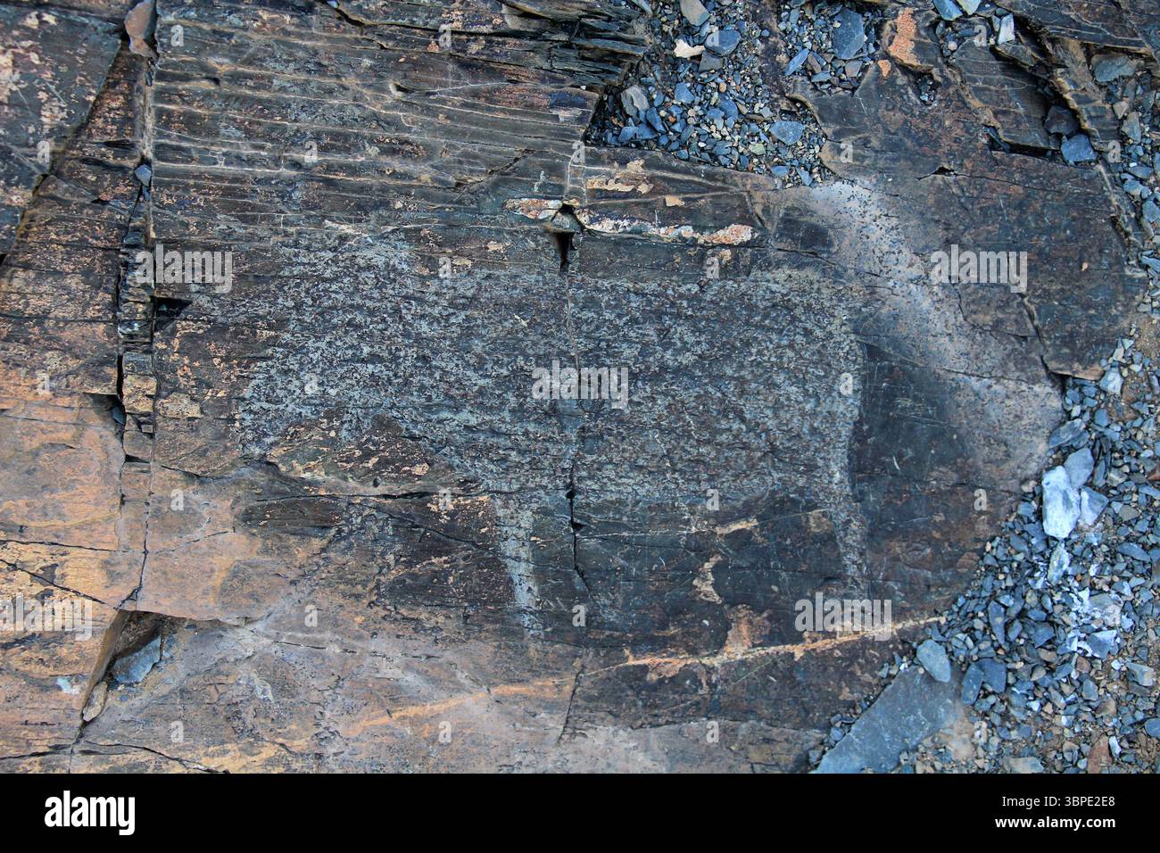 The Khar Uzuur rock inscriptions are located in rural Mongolia. The ...