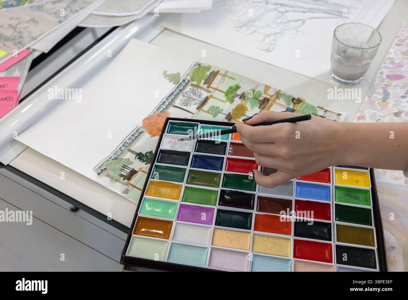 Cole & Son—the iconic British wallpaper house since 1875, renowned for ...