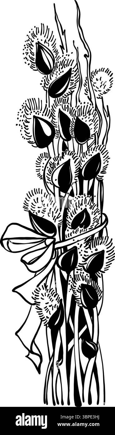 Branch willow tree in Cut Out Stock Images & Pictures - Alamy